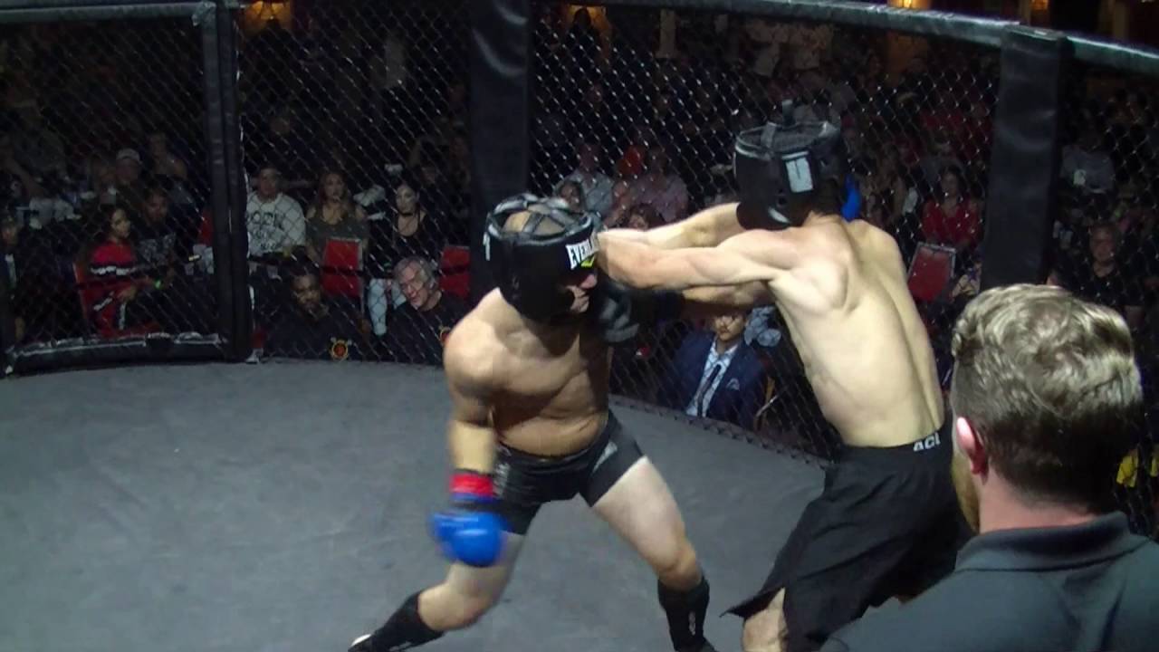 TFC Muay Thai Omari Wilson vs Nikola Colovic - YouTube