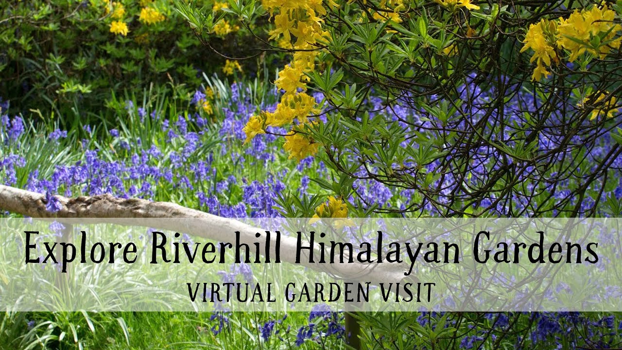 Riverhill Himalayan Gardens | Fasci Garden