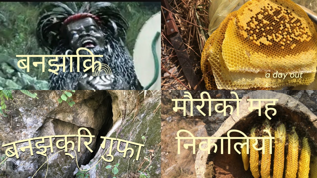 Banjhakri gufa hudai 😀mauri ko maha nikalnu gaeyo☺️😏@Aybibashvlog22 ...