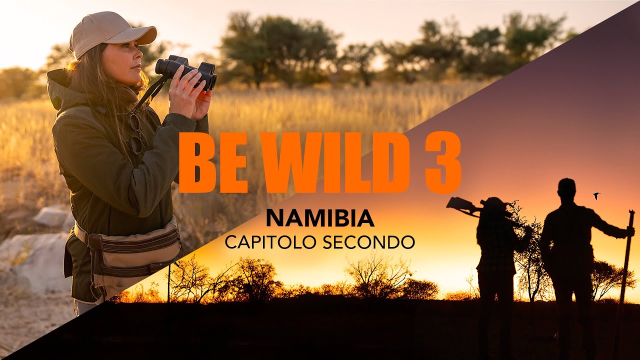 BEWILD 3 Ep. 2 - Caccia alle sand grouse e al waterbuck in Africa - YouTube