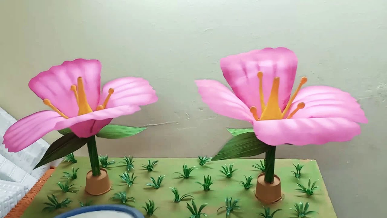 School Project - Butterfly and Pollination Model - YouTube