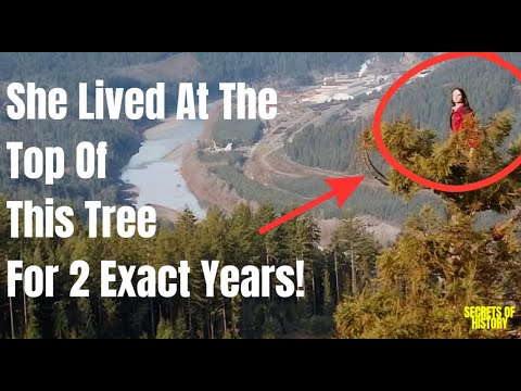 Who Is This Woman? Why Did She Live Up A Tree For 738 Days? #juliahill ...