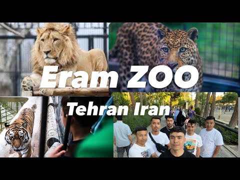 Vlog (13) Iran | Waking Eram park Tehran - ZOO / باغ وحش - YouTube