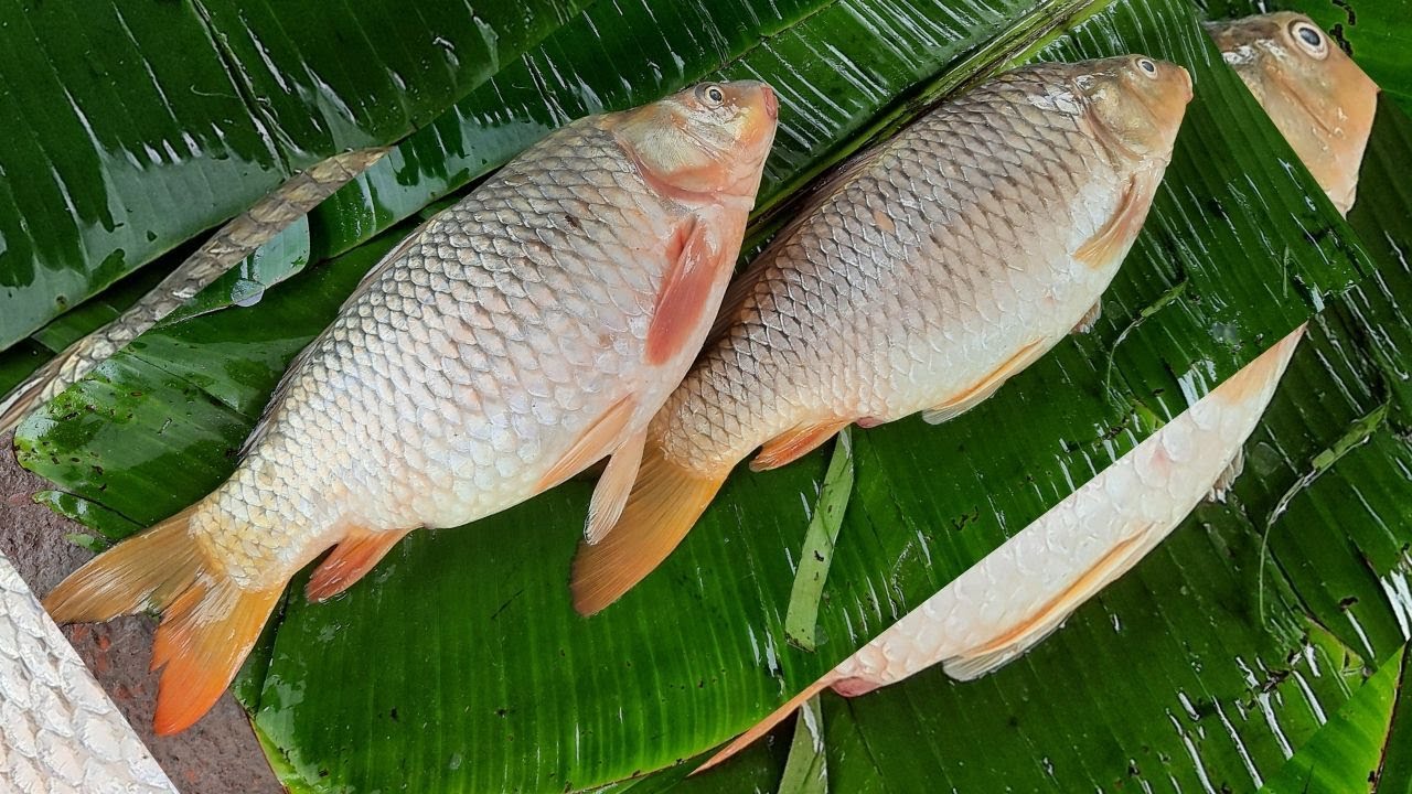 Red Carp Fish Cutting - YouTube