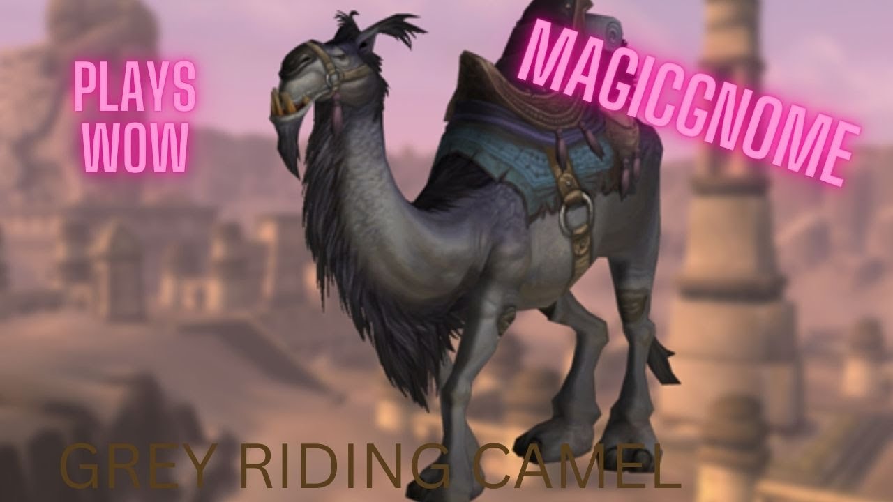 GREY RIDING CAMEL DROP! - YouTube