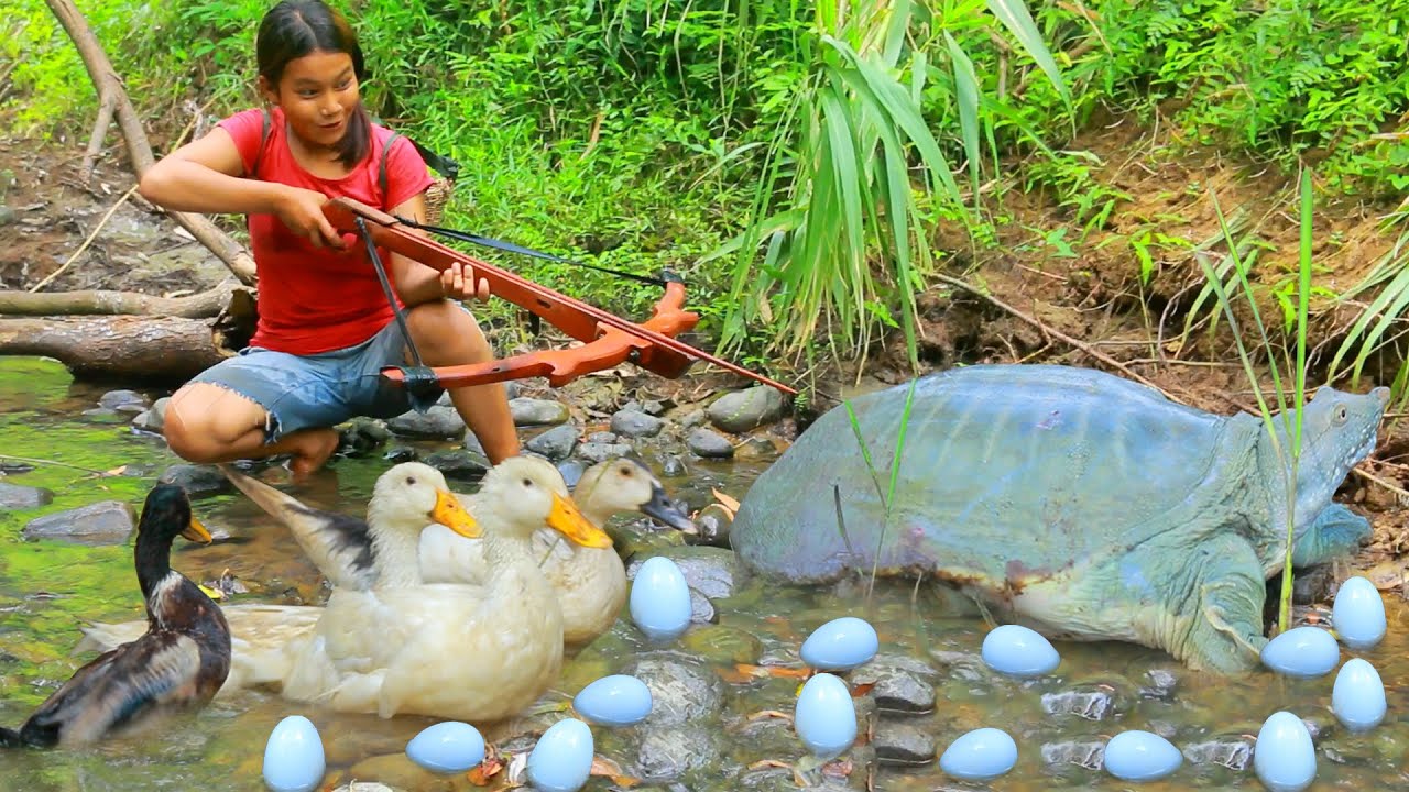 survival in the rainforest - Found Turtle and Duck at river - Cooking ...