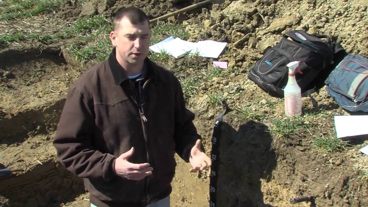 Cover Crops - Benefits of Soil with Steve Baker - YouTube