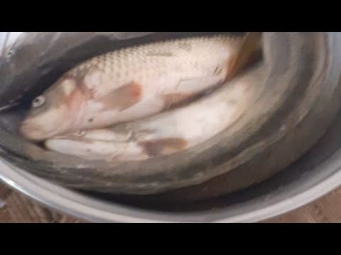 fish hunting drya sindh bisha bndook man - YouTube