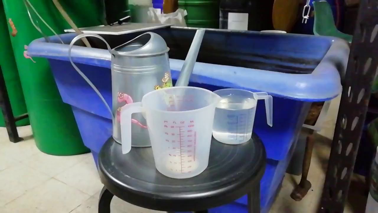 Cultivo casual de trichoderma - YouTube