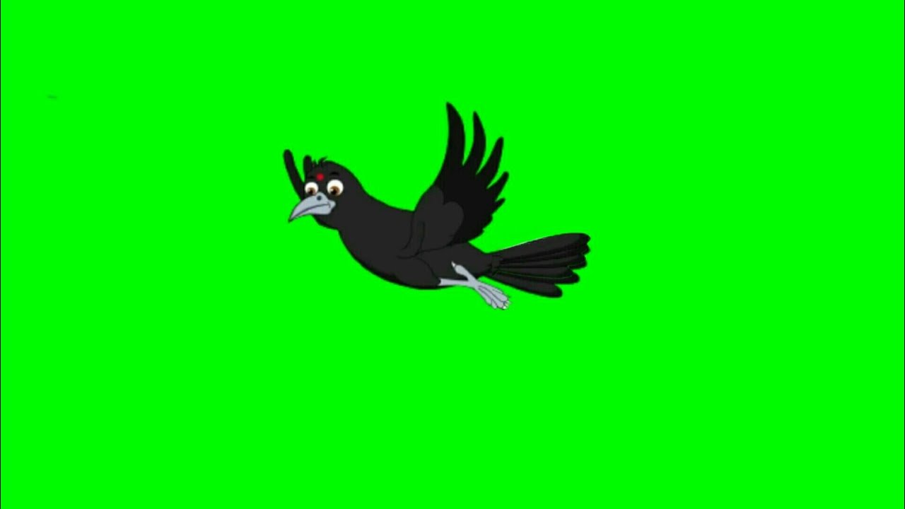 No Copyright Green Screen Cartoon Bird/Green Screen Bird /Cartoon Bird ...