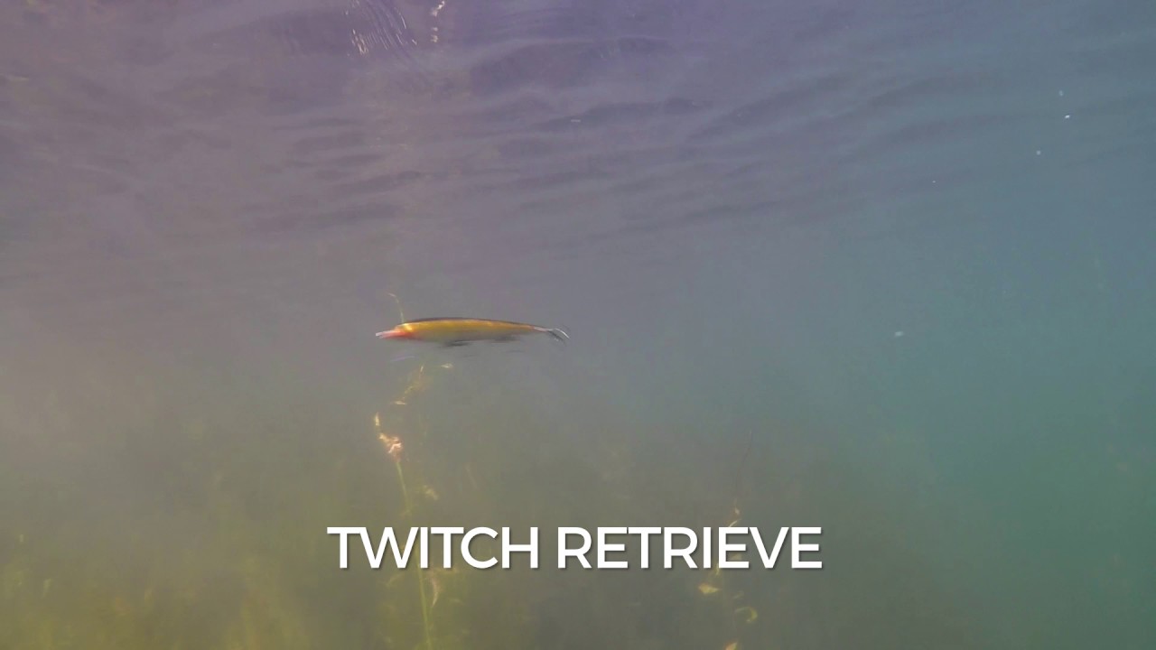 Swimming Action: Original Floater - YouTube