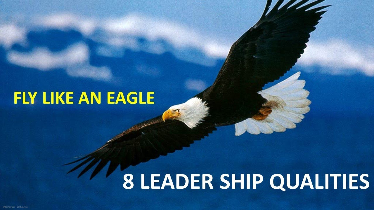 8 Leadership Qualities from Eagle - YouTube