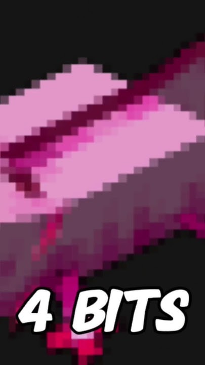 64 bits, 32 bits, 16 bits, 8 bits, 4 bits, 2 bits, 1 bit, half bit, quarter bit, zero bits ...