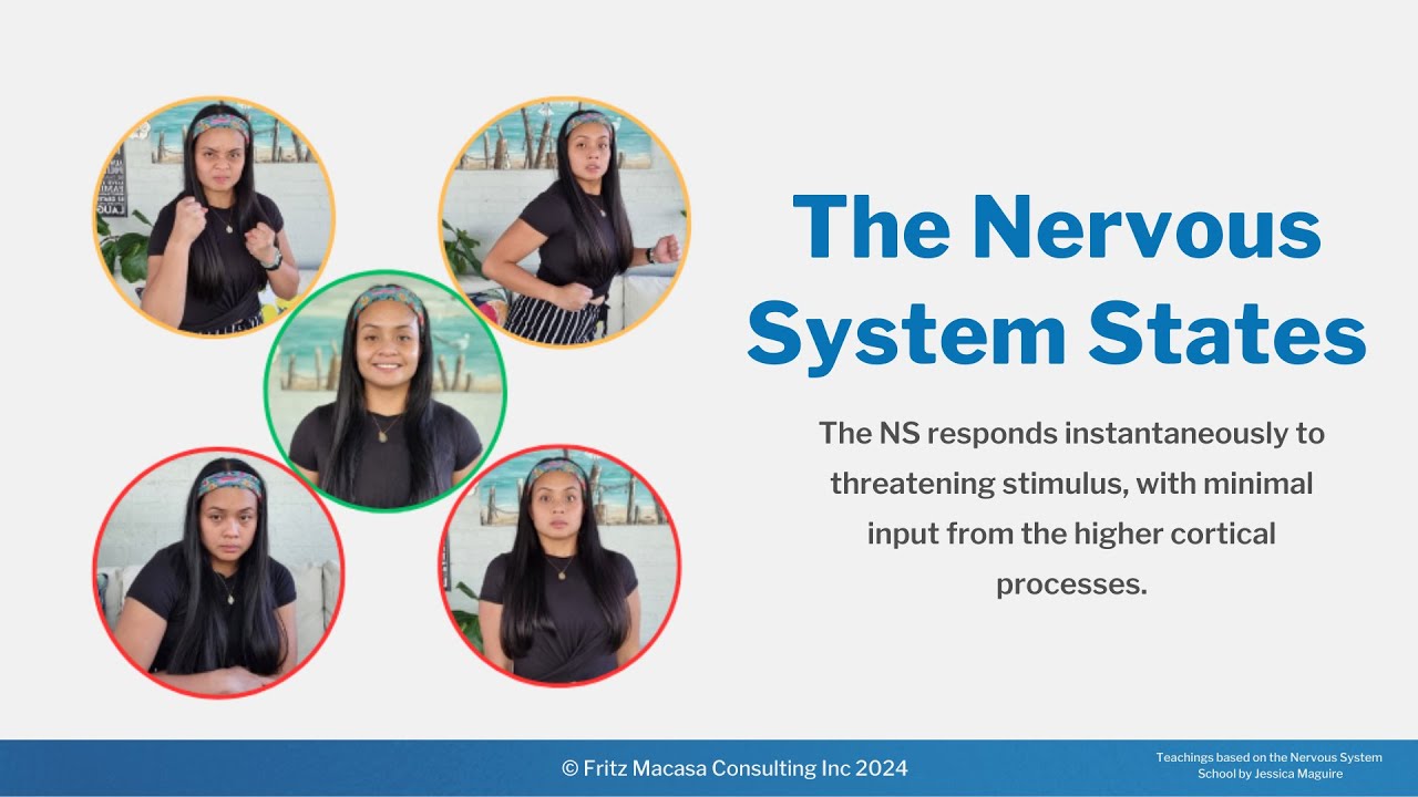 Nervous System Training: The Fight, Flight, Freeze, and Shut Down ...