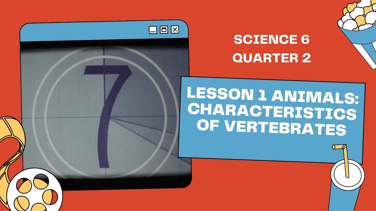 Science 6 Animals: Characteristics of Vertebrates #Module #DepEd # ...