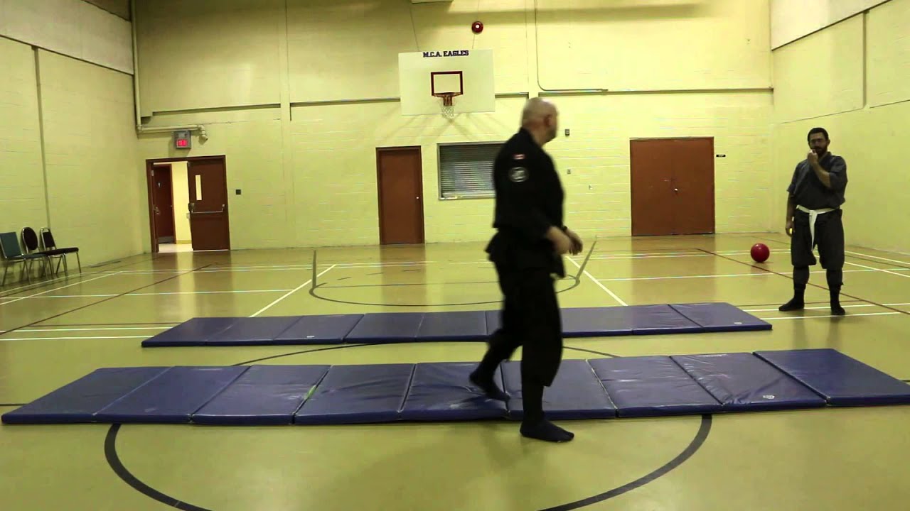 Bujinkan Ninjutsu, 9th Kyu, part 22 - how to wear your uniform, water ...