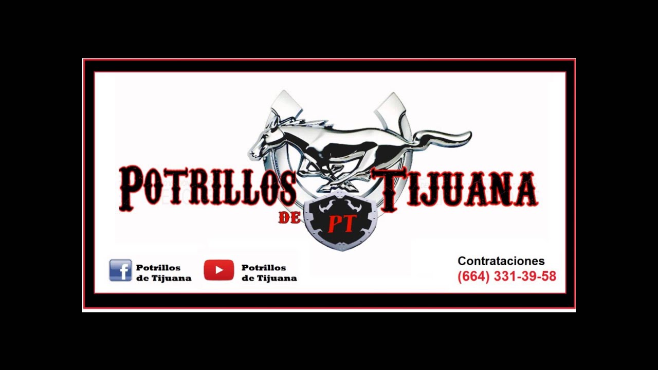 Potrillos de Tijuana- Hermosa Experiencia EN VIVO - YouTube