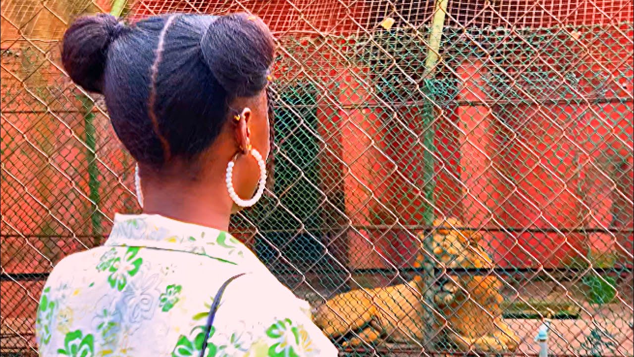 A TOUR OF OGBA ZOO BENIN CITY - YouTube