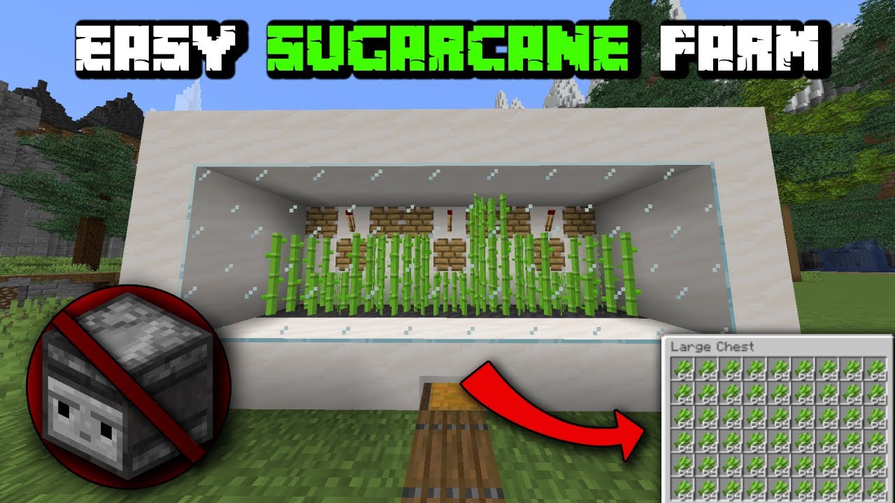 EASY No Observer Sugarcane Farm - Minecraft 1.21 - YouTube