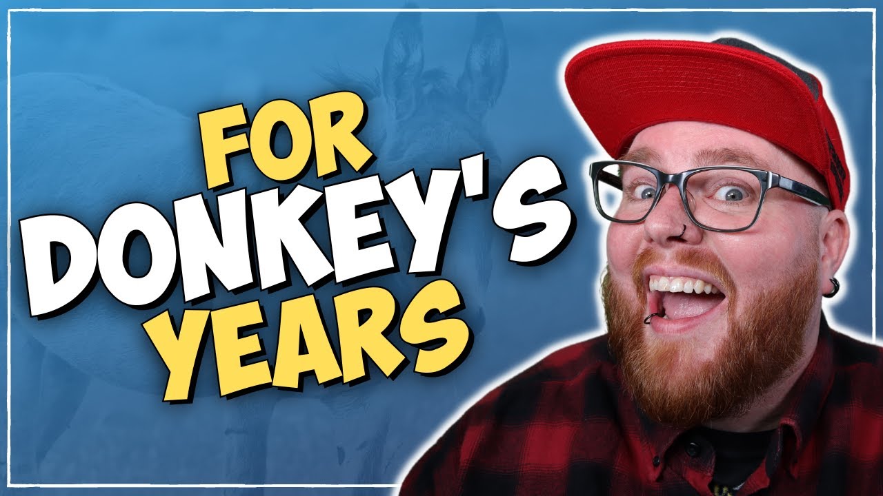 What Does "For Donkey's Years" mean? 🤔 Learn British English 🇬🇧 - YouTube