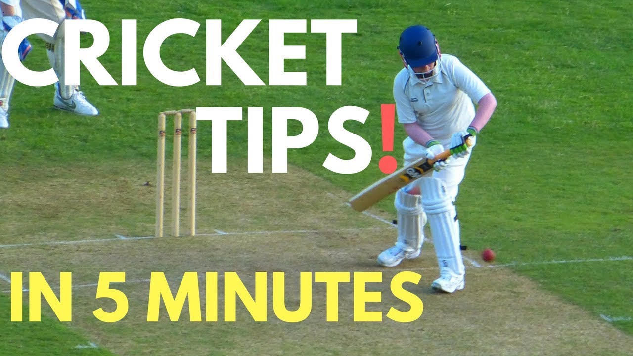 cricket tips: How to improve in every sessions in 5 minutes! - YouTube