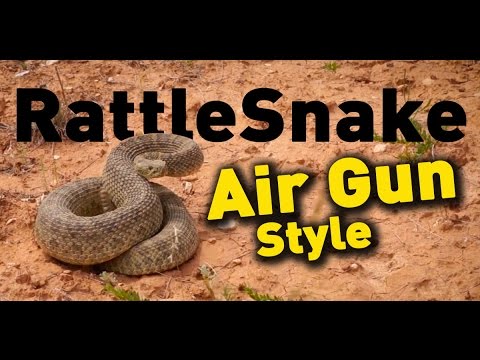 Rattle Snake Hunt Real Air Gun Hunting : American Airgunner TV - YouTube