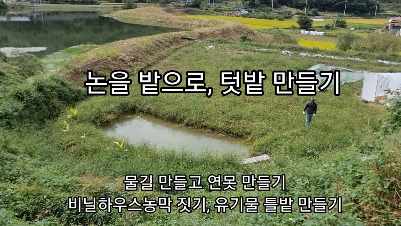 논을 밭으로 만들기 논 연못 만들기 유기물 틀밭 만들기 나뭇잎 낙엽 풀을 토양으로 만드는법 Youtube