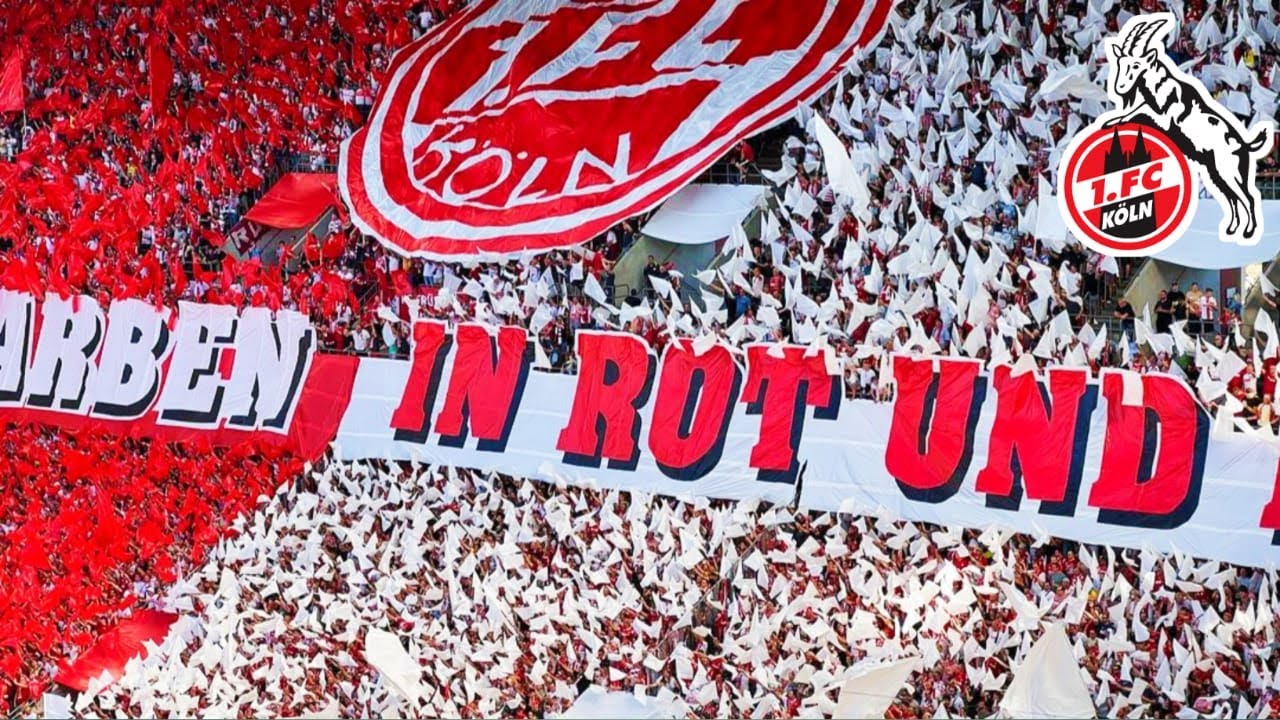 Tifo FC Koln Ultras in First Match Bundesliga || Köln vs Schalke 04 (07 ...