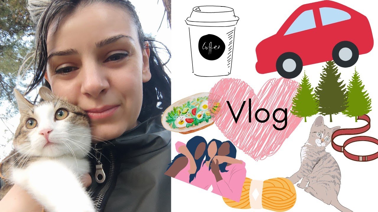 Vlog μία όμορφη μέρα! Η γάτα μου αντίδραη στο λουρί. - YouTube
