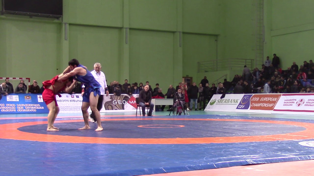 paata uriadmyofeli saqartvelos falavnoba 2018.w. qartul chidaobashi 15 ...