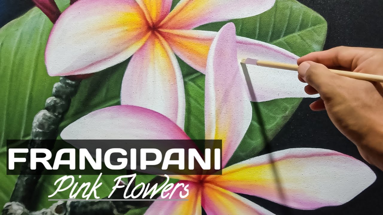 FRANGIPANI Pink Flowers Acrylic Painting Realistic / Melukis Bunga ...
