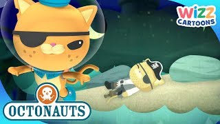 Octonauts Kwazii cat pirate calico Jack Bean Bag Chair Cover ...
