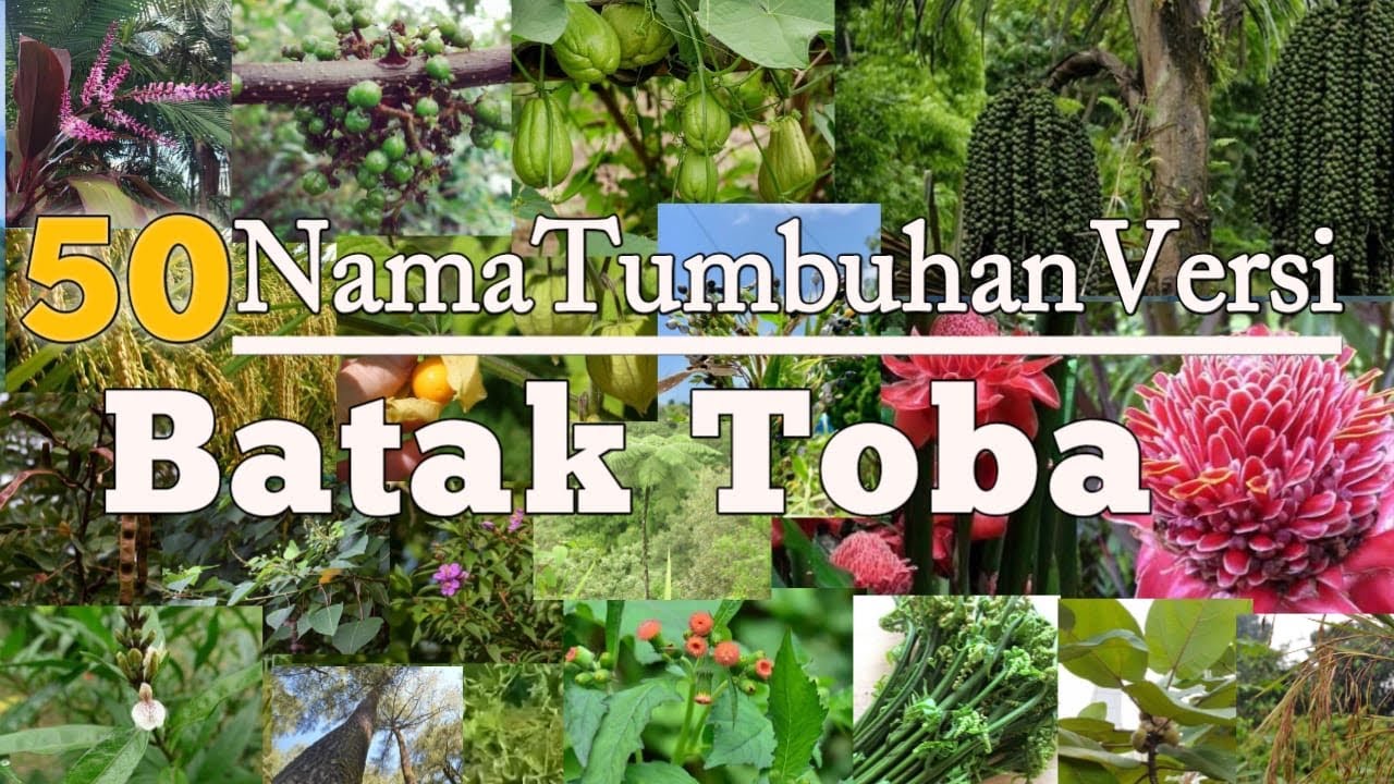 50 NAMA TUMBUHAN VERSI BAHASA BATAK TOBA - YouTube