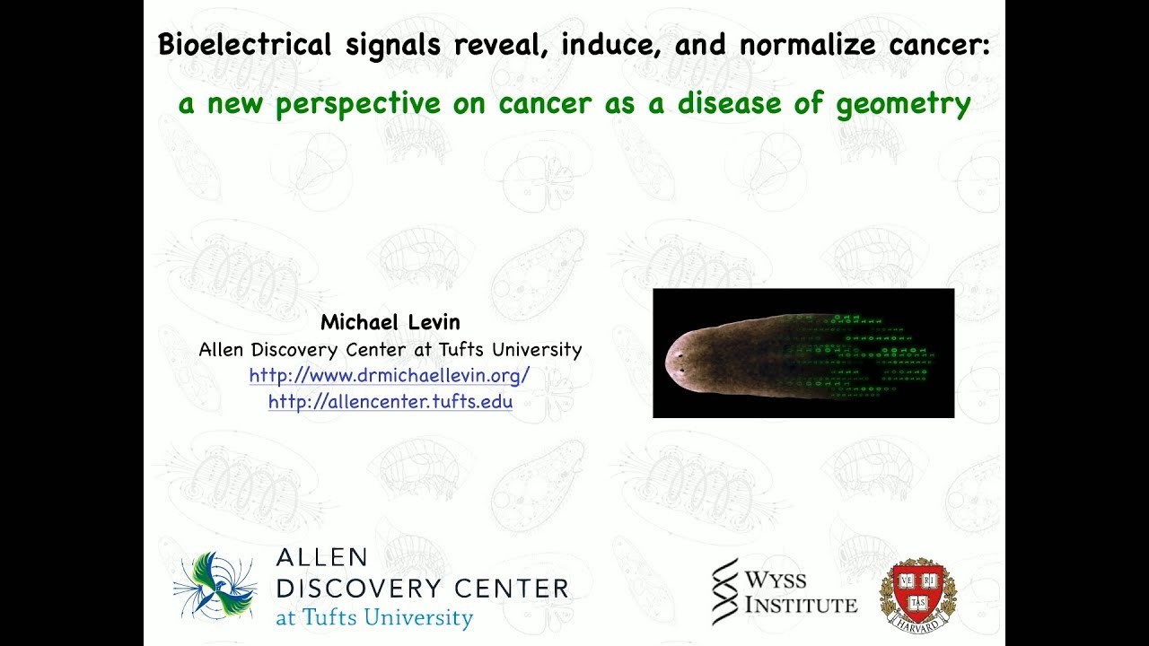 CHArT Seminar Series: Bioelectrical signals reveal, induce, and ...