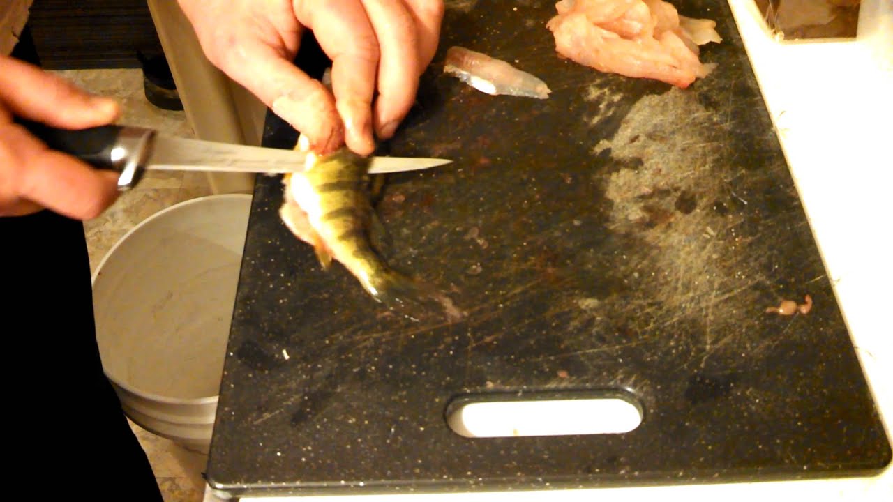 Filleting lake perch with a fillet knife - YouTube