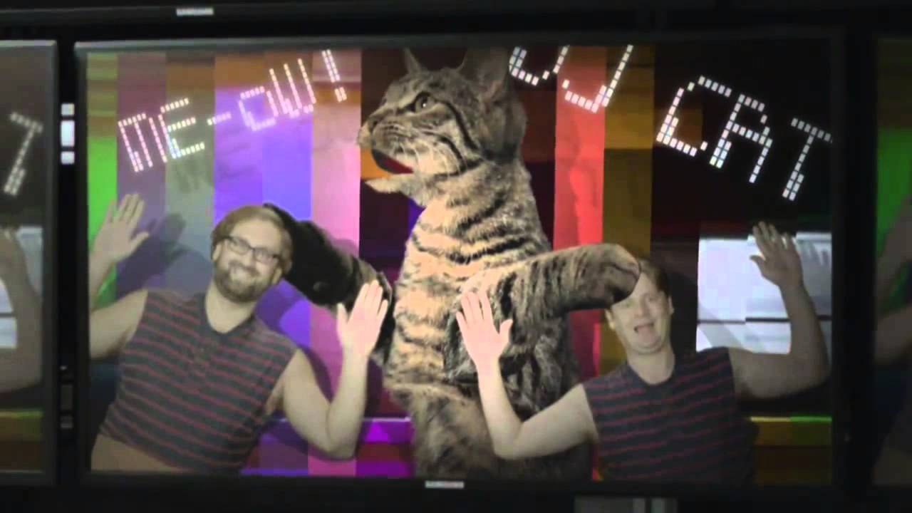 Cats (Tim and Eric) - YouTube