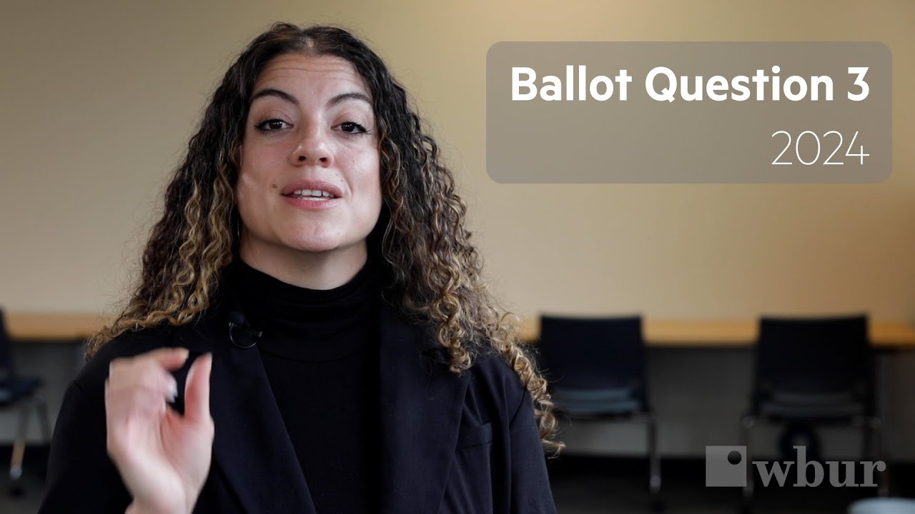 2024 Ballot Question 3: Unionization for Transportation Network Drivers - YouTube