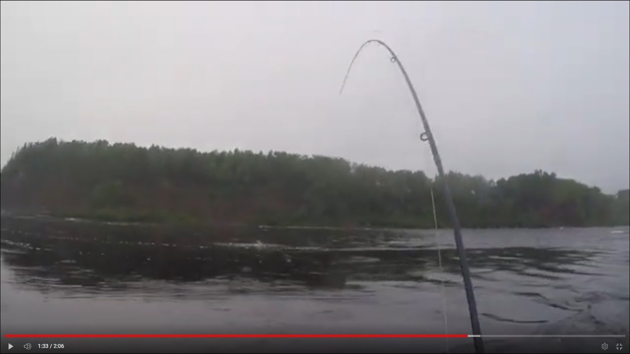 Atlantic salmon dry fly - exploits river - YouTube
