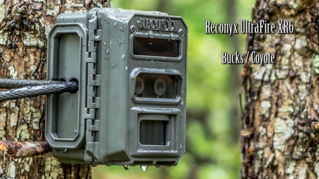 Reconyx UltraFire XR6 - Bucks / Coyote - YouTube
