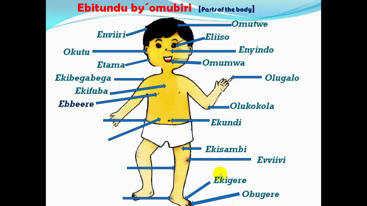 eLuganda learning part of the body - YouTube