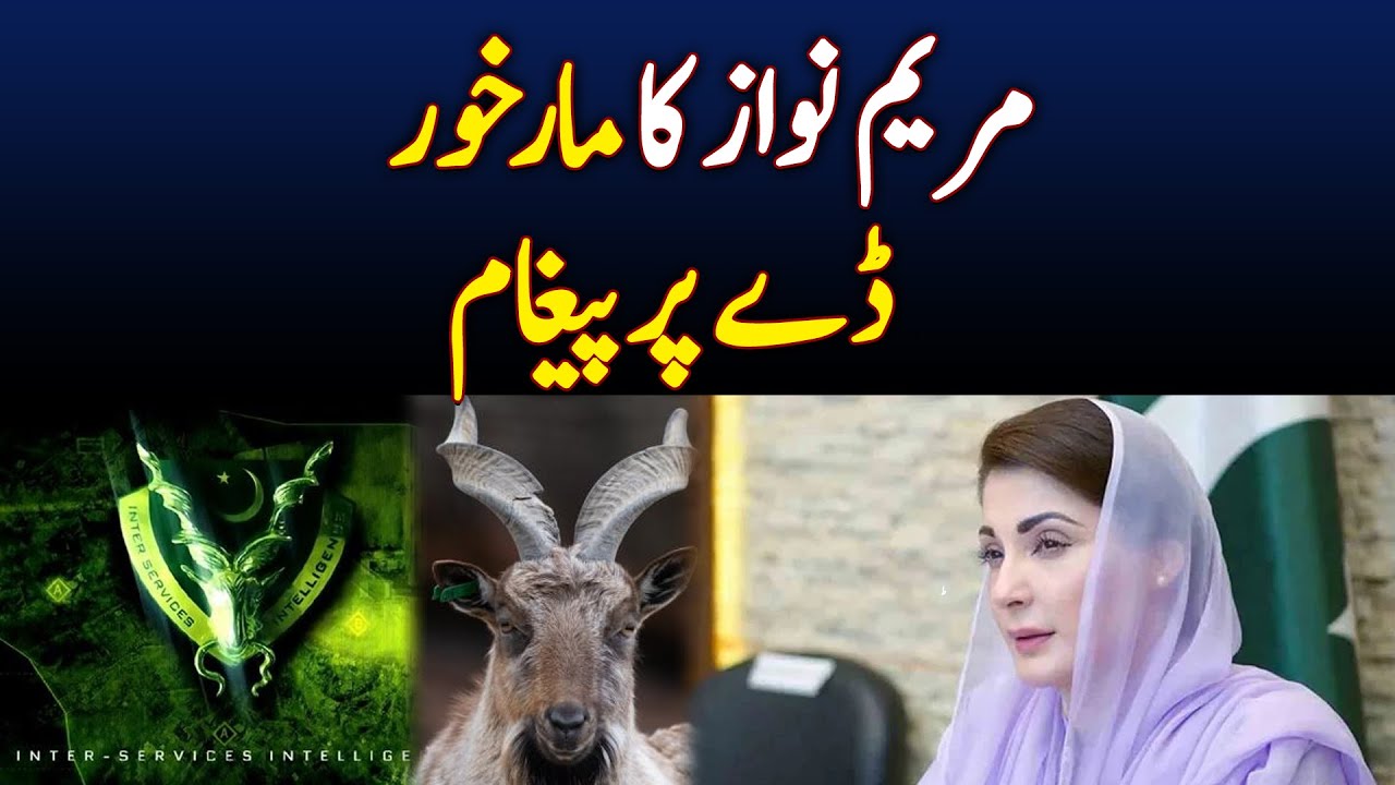 Markhor Symbolizes ISI’s Bravery, Says Maryam Nawaz - Aaj News - Videos - Aaj English TV