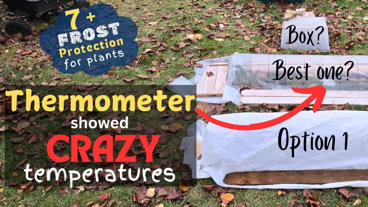 How to Save Your Plants from Frost Damage - 7 Easy Frost Protection ...
