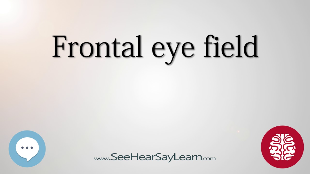 Frontal eye field Anatomy of the Brain SeeHearSayLearn 🔊 - YouTube