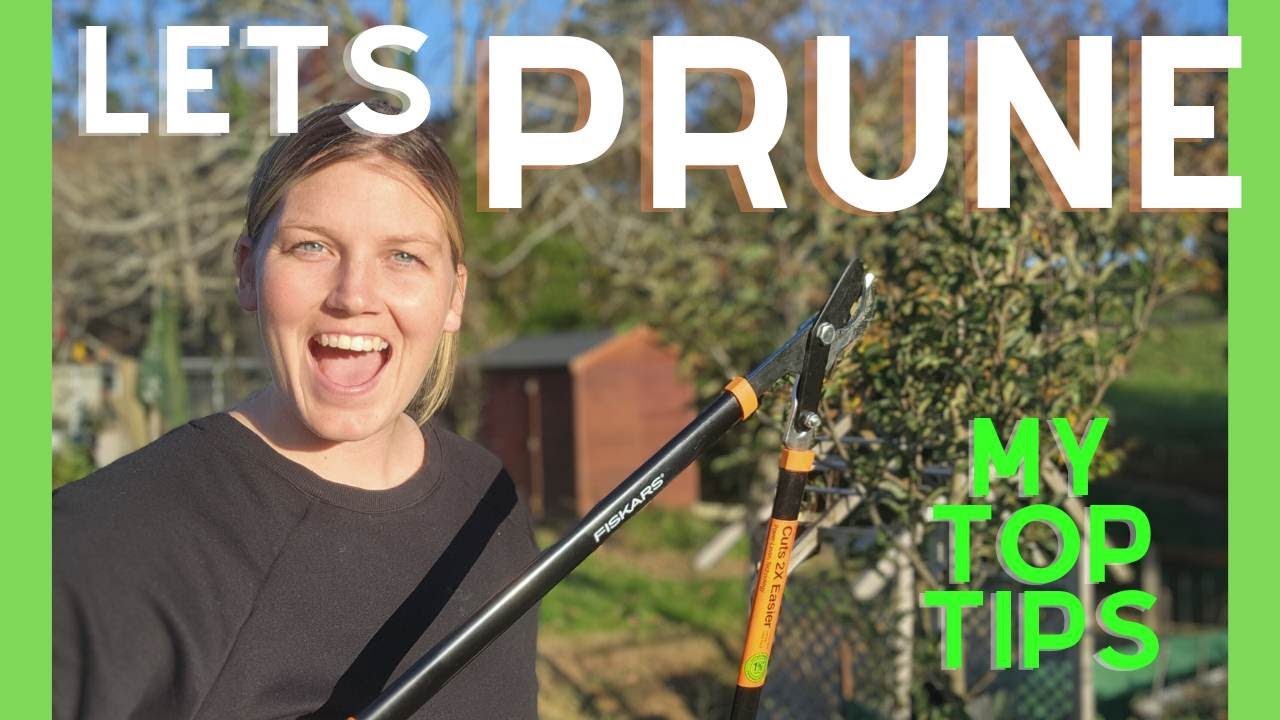 LET'S PRUNE IN JUNE - easy tips for beginners - YouTube