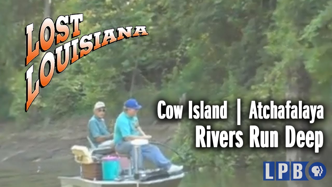 Cow Island | Atchafalaya | Rivers Run Deep | Lost Louisiana (2000 ...