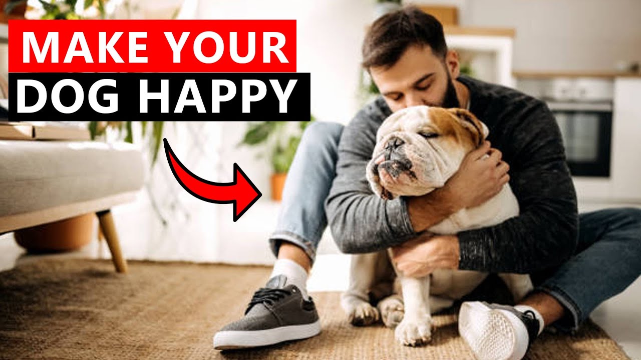 Discover the 13 Things That Bring Dogs True Happiness! - YouTube