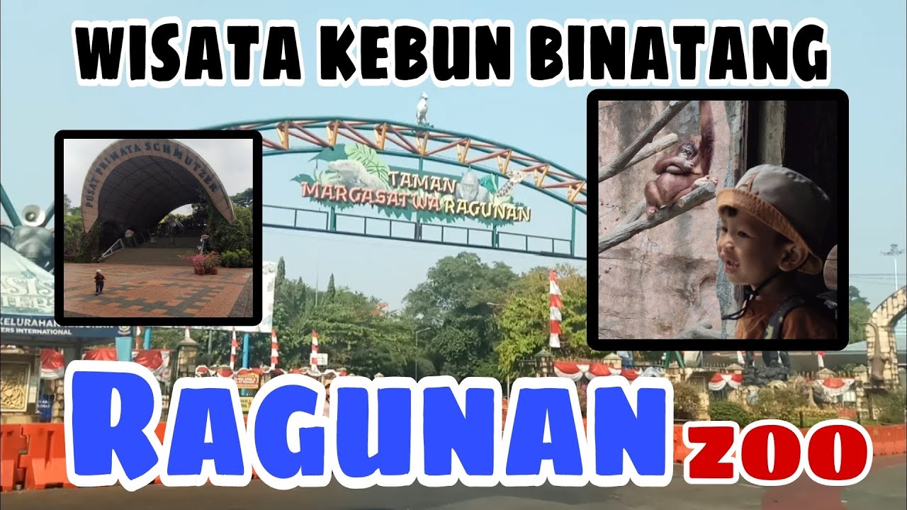 Wisata ke Kebun Binatang Ragunan || Pusat Primata Schmutzer (03 ...