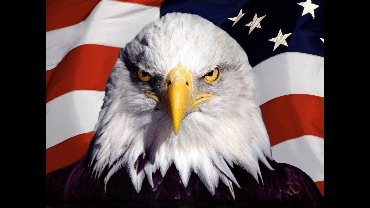 FALL OF AMERICA: THE FINAL CHAPTER - YouTube