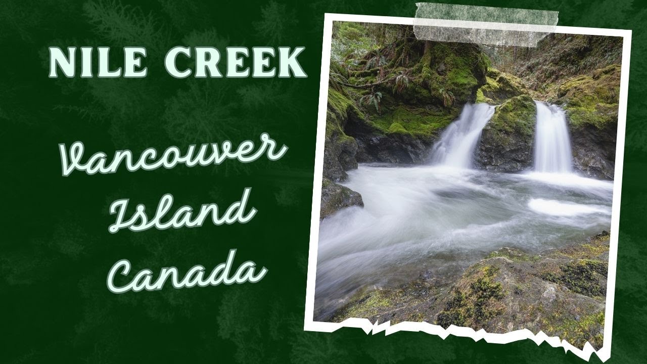 Explore The Stunning Beauty Of Vancouver Island: Hiking Nile Creek ...