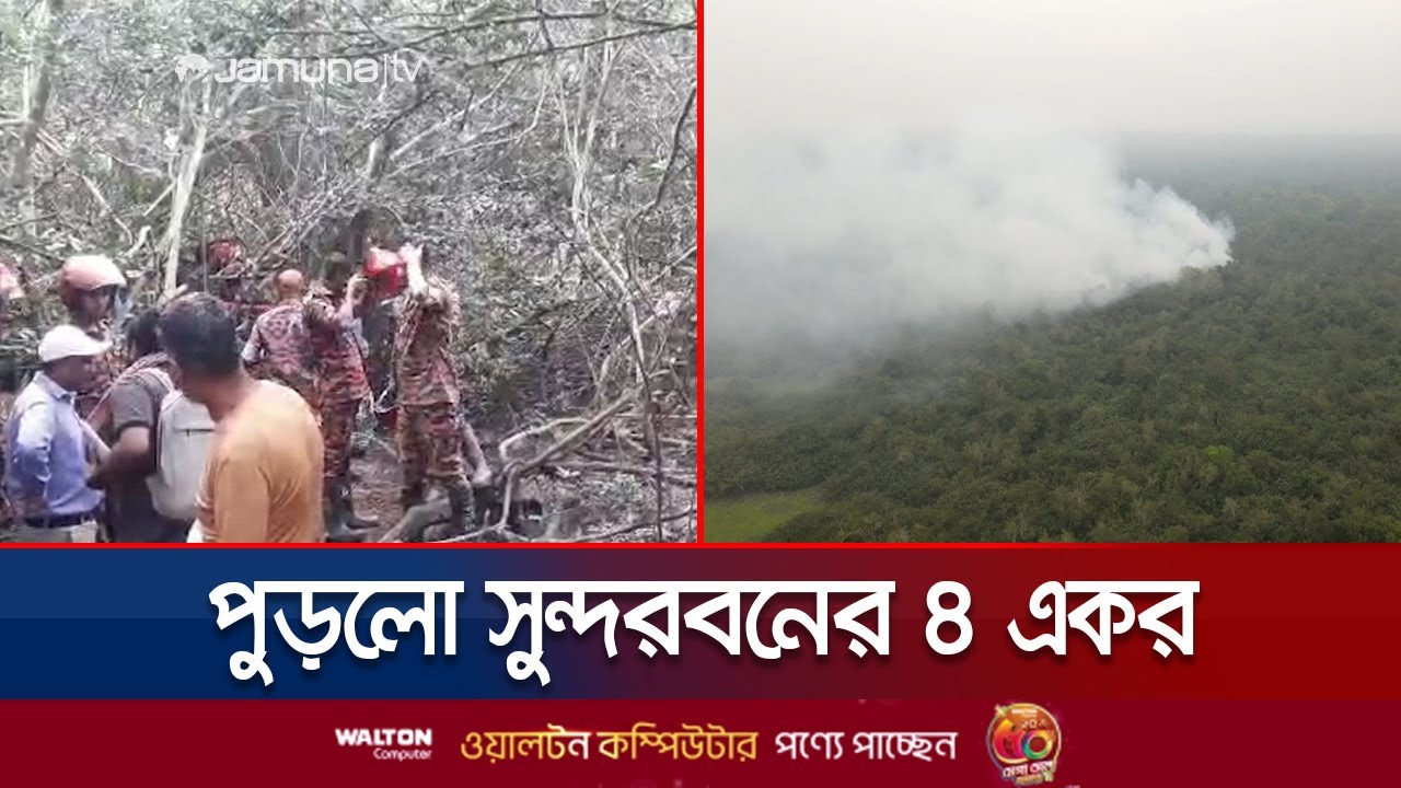 সুন্দরবনের এক জায়গার আগুন নিভতে না নিভতেই লাগলো আরেক জায়গায় ...